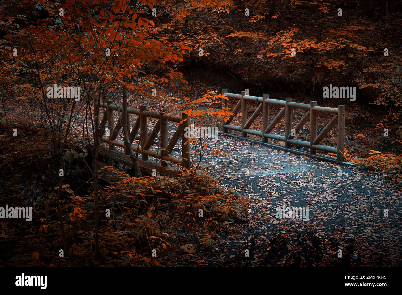 Bridge pathway fence wooden hi-res stock photography and images - Alamy