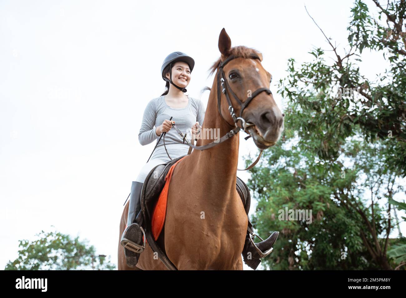 beautiful woman equestrian athlete practicing horse riding on outdoor ...