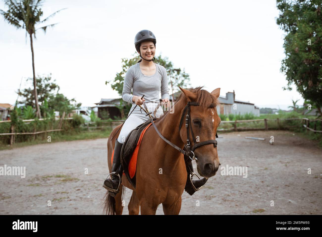 beautiful woman equestrian athlete practicing horse riding on outdoor ...