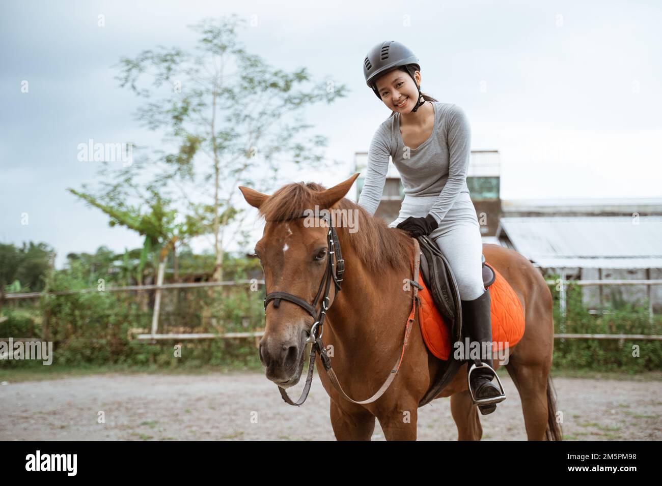 Female equestrian smiling while riding horse and holding reins Stock ...