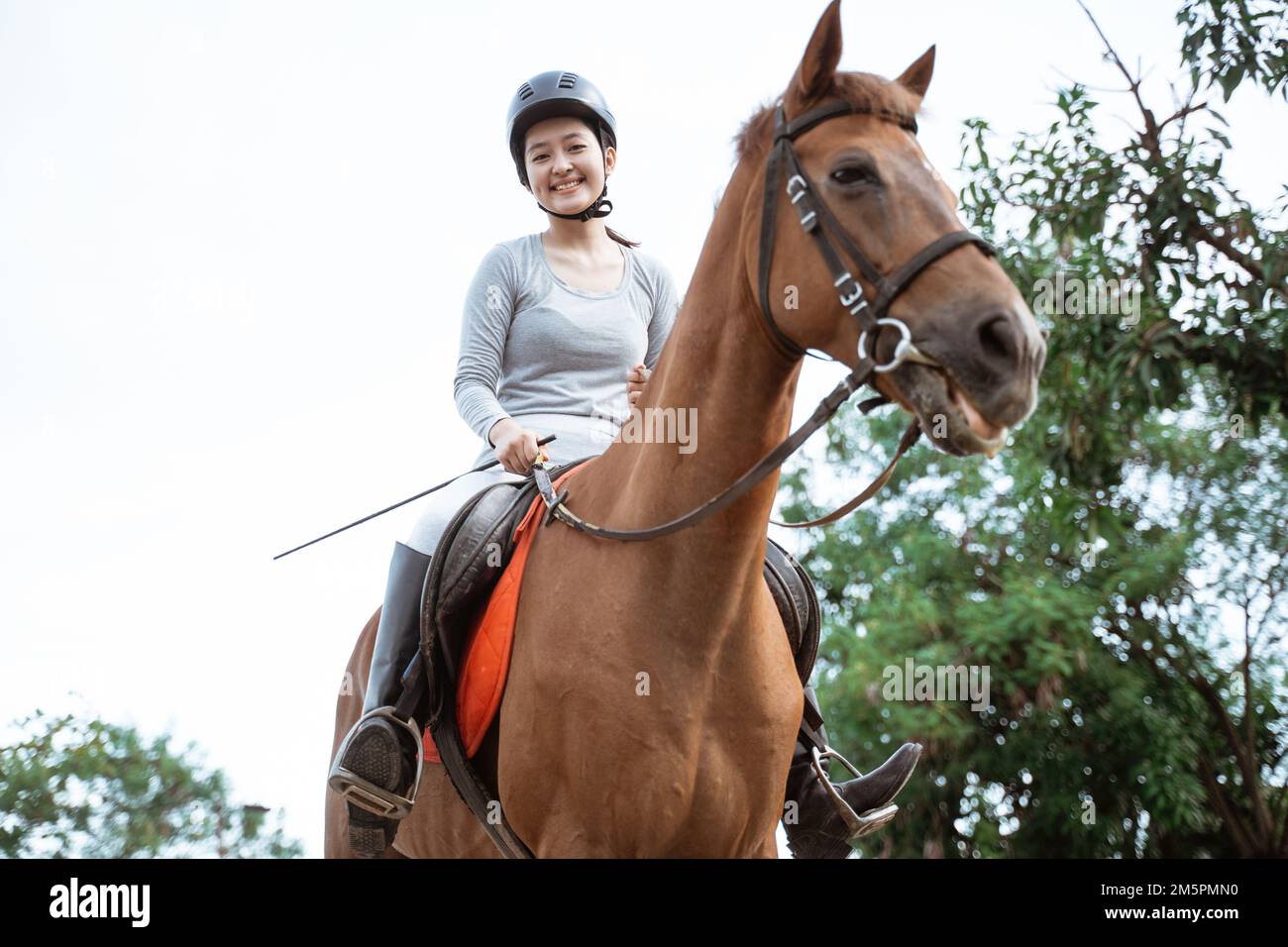 beautiful woman equestrian athlete practicing horse riding on outdoor ...