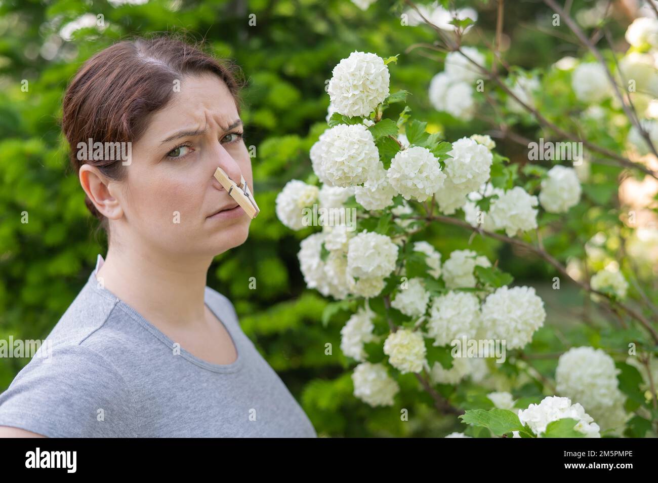 Unhappy woman with a clothespin on her nose on a walk in a blooming ...