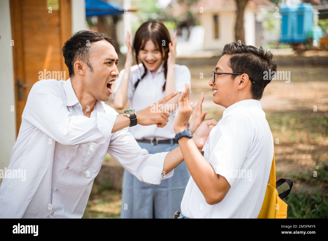 Two male high school students fighting with scared girl screaming Stock ...