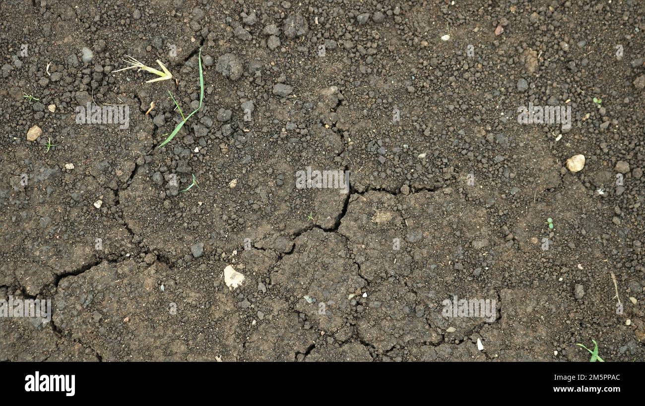 dry brown granular earth with small pebbles and sparse vegetation top ...