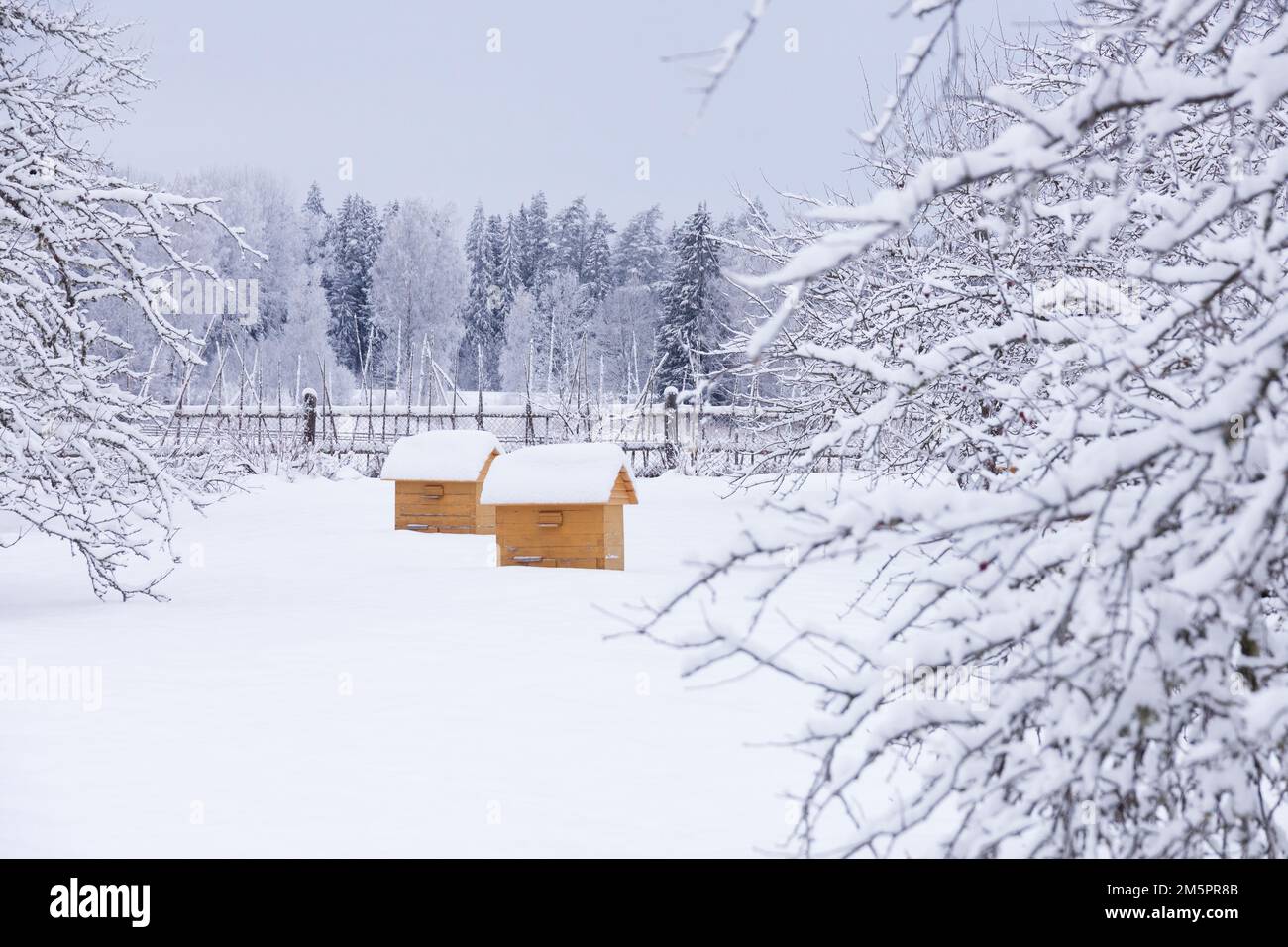 Beehive during winter hi-res stock photography and images - Alamy