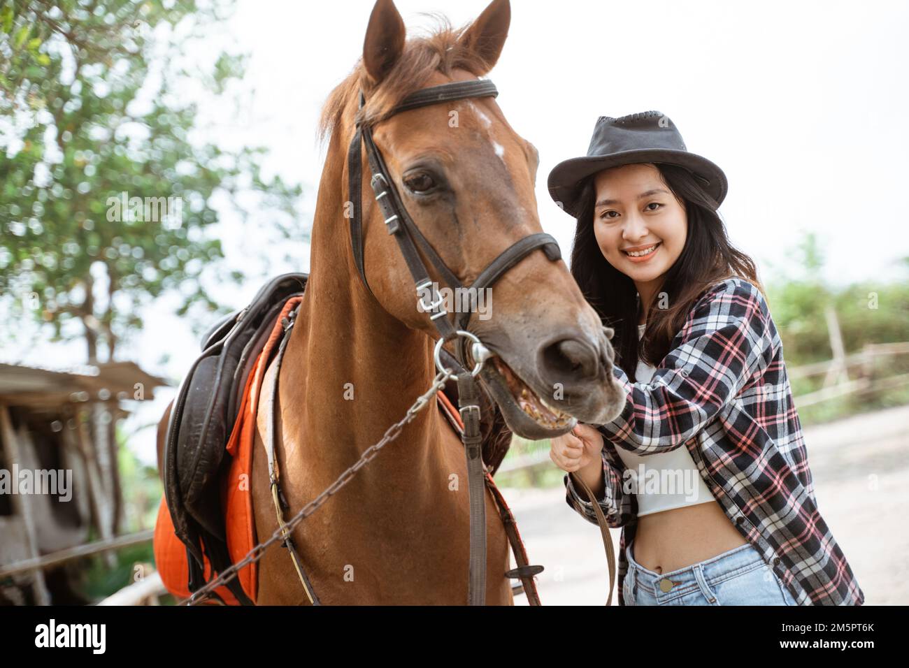 beautiful asian cowboy girl standing beside horse on outdoor background ...