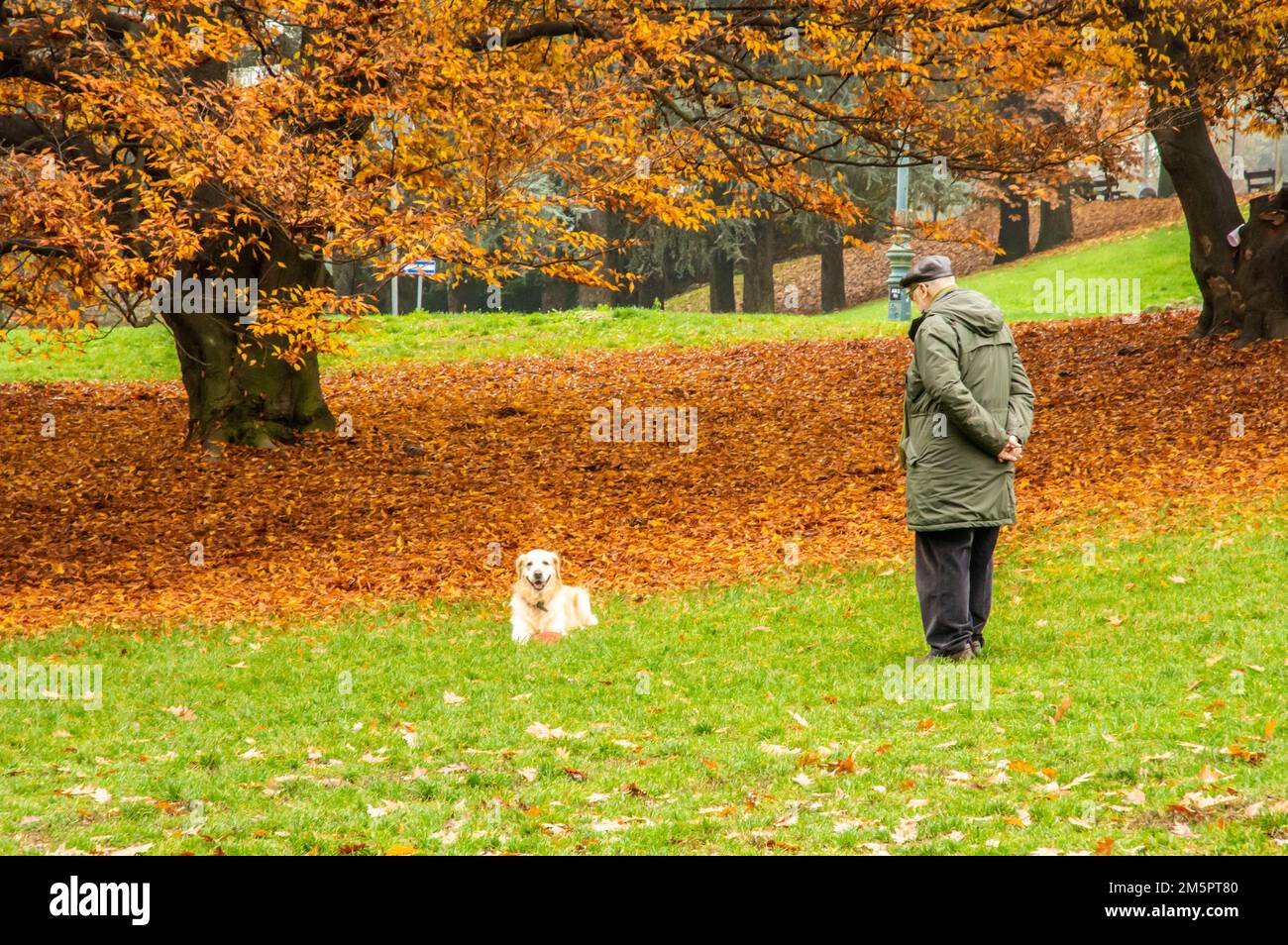 Parco del Valentino on the Banks of the Po River in the city of Turin ...