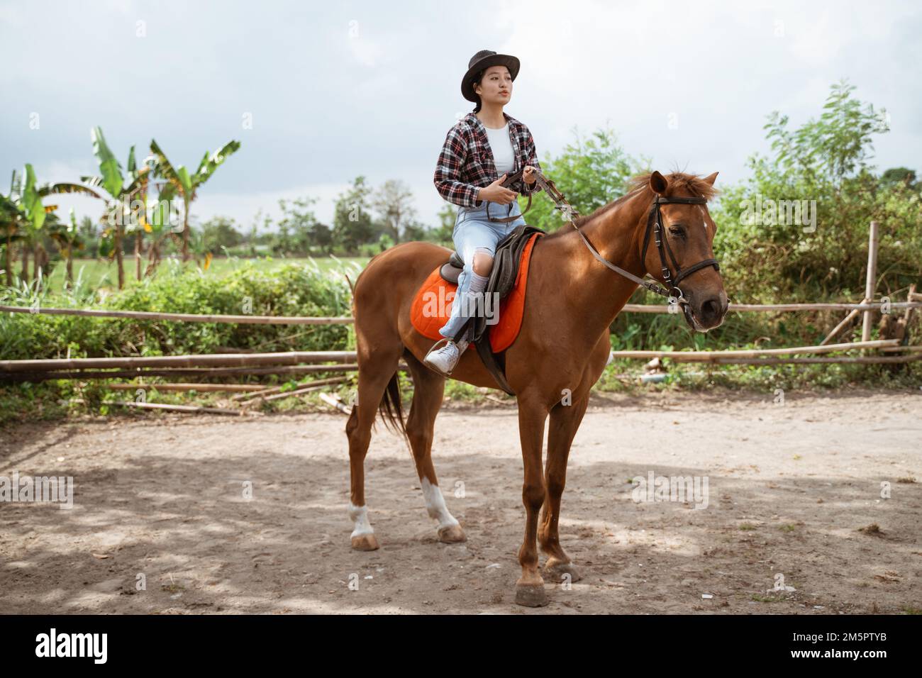 asian woman in cowboy hat holding reins while sitting on horse at ranch ...