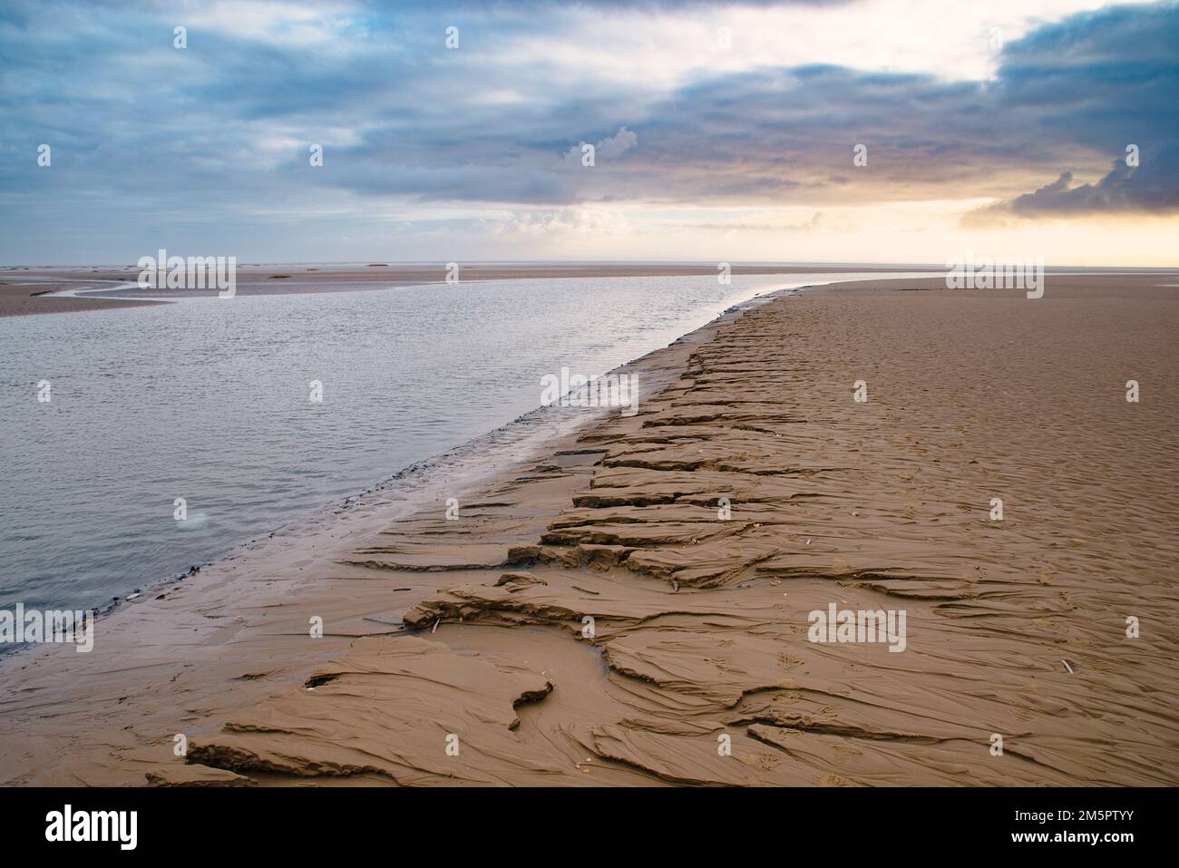 Wadden sea at low tide, North sea beach landscape, coast on Fano island ...