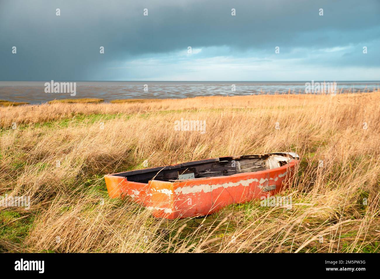 Old wooden boat in the reed next to the north sea on the Island Romo in ...