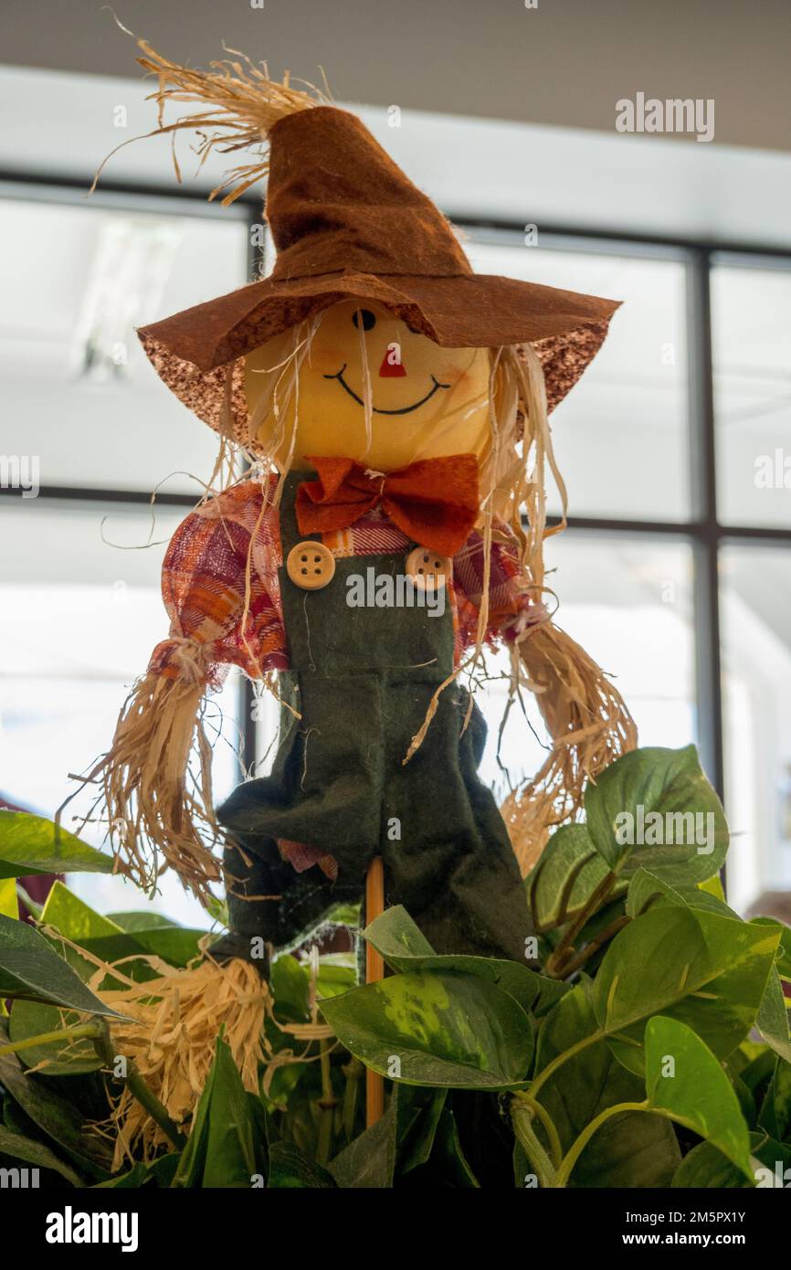 A vertical shot of a scarecrow toy with decorative green leaves indoor ...