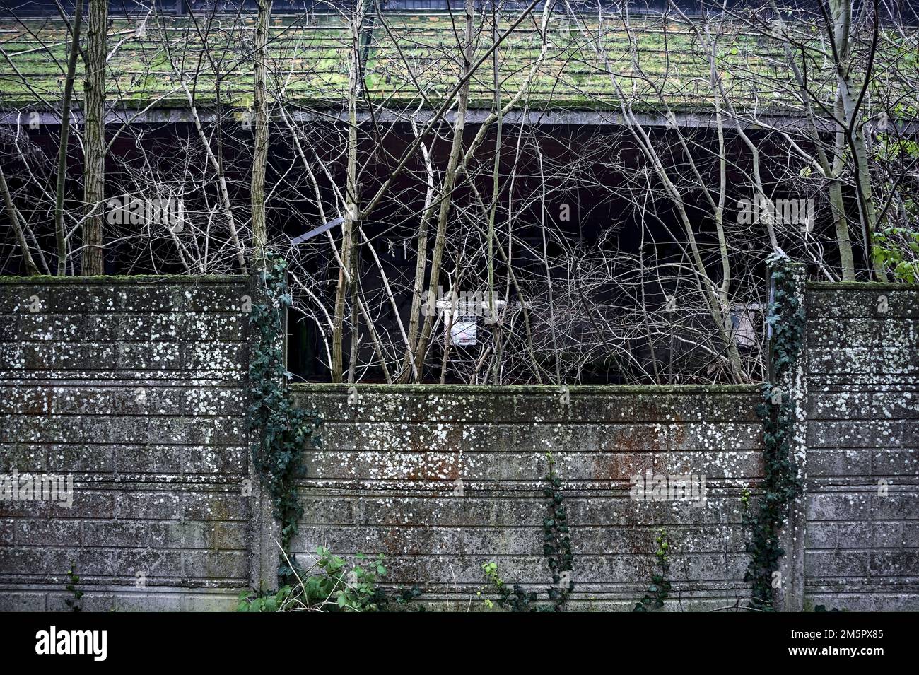 Small breach in a concrete boundary wall of an abandoned factory Stock ...