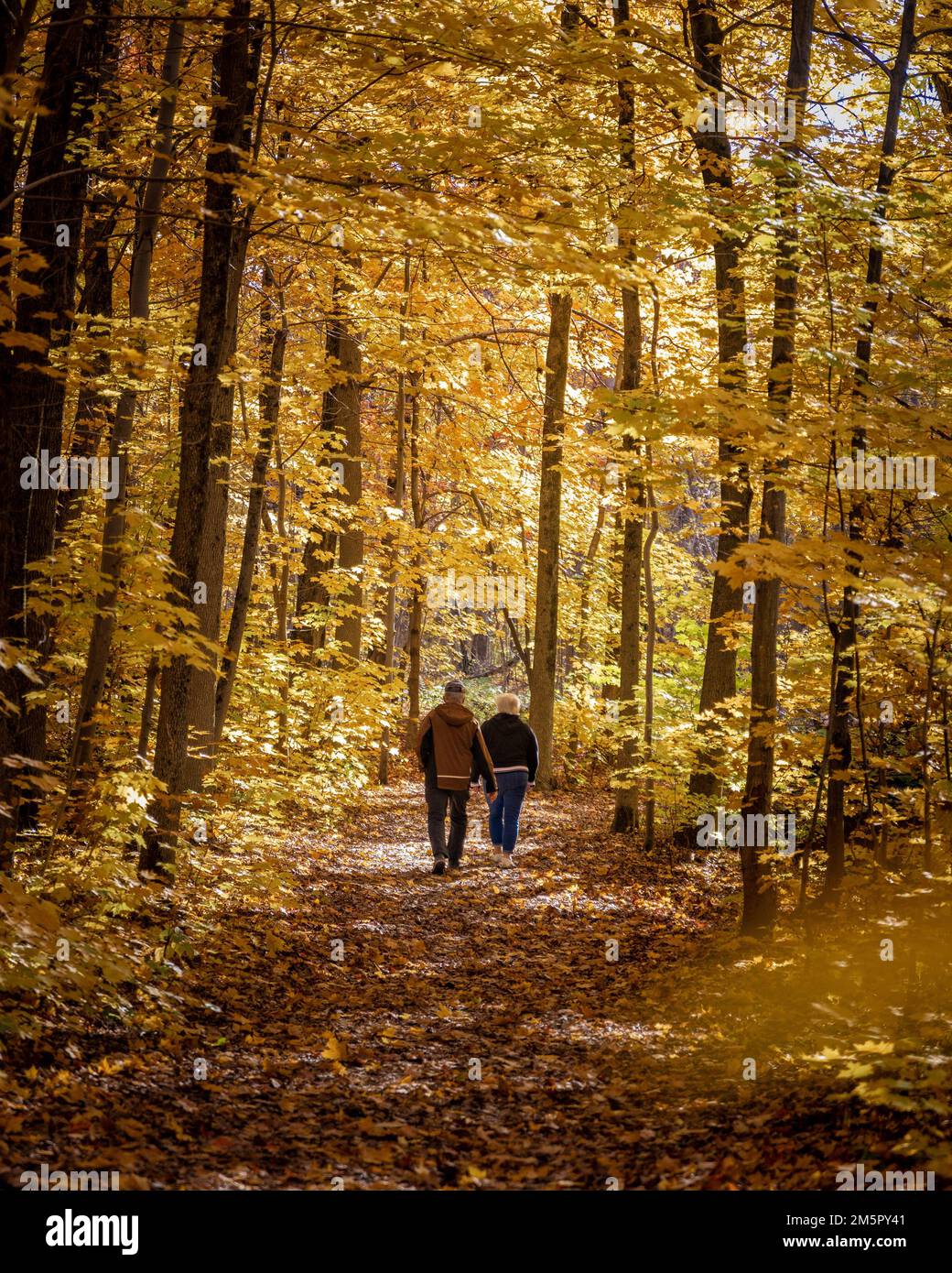 The people walking in a path in a colorful autumn park Stock Photo - Alamy