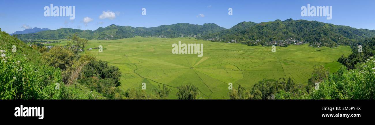 Landscape panorama of the famous spider web rice fields in Lodok Cara ...