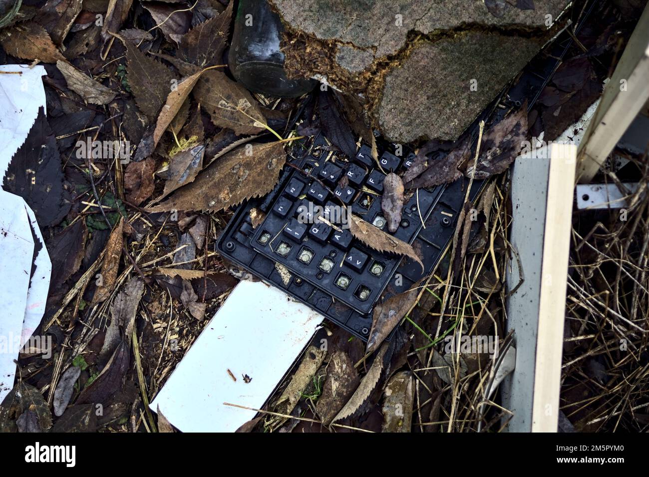 Broken keyboard with foliage seen from above Stock Photo - Alamy