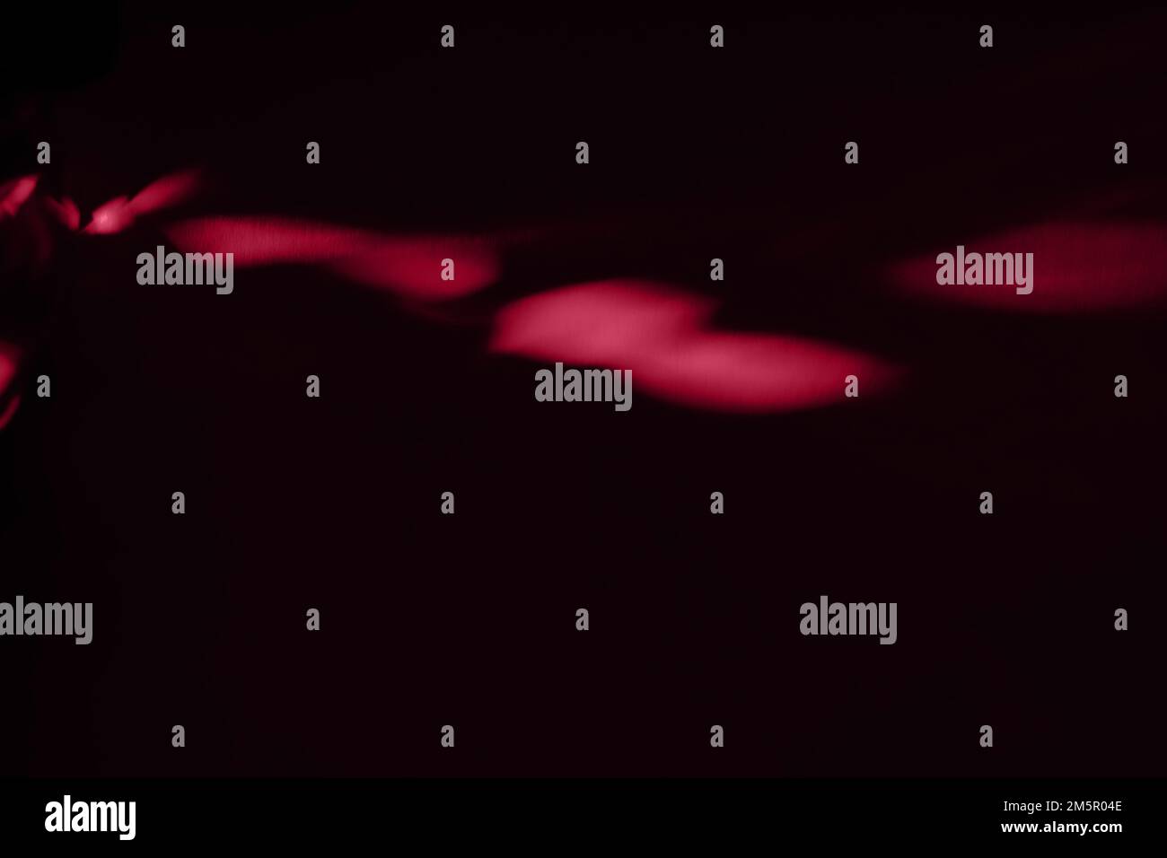 Color of the year 2023 Viva magenta. Light flare prism rainbow flares ...