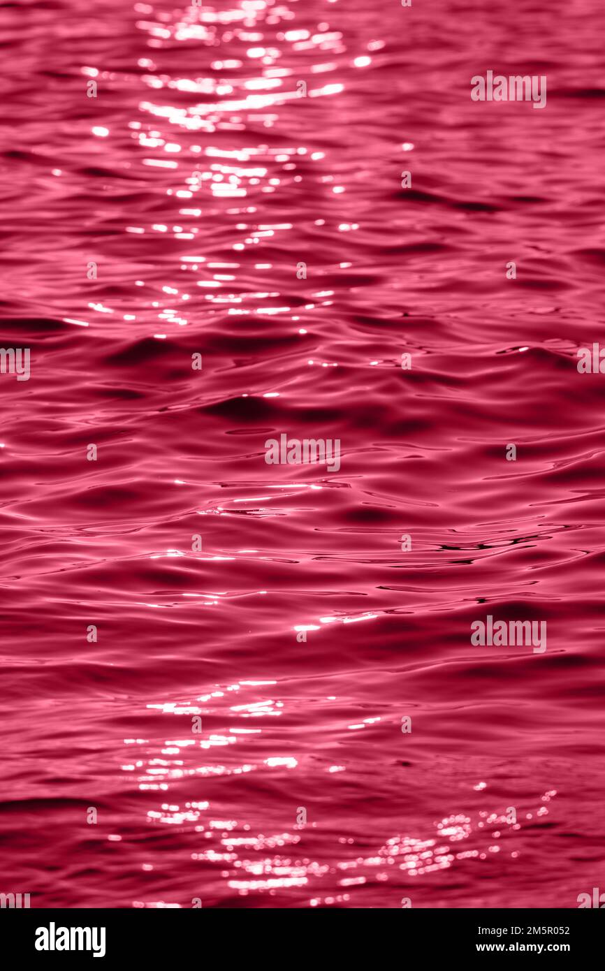 Color of the year 2023 Viva magenta. Ripple sea ocean water surface ...