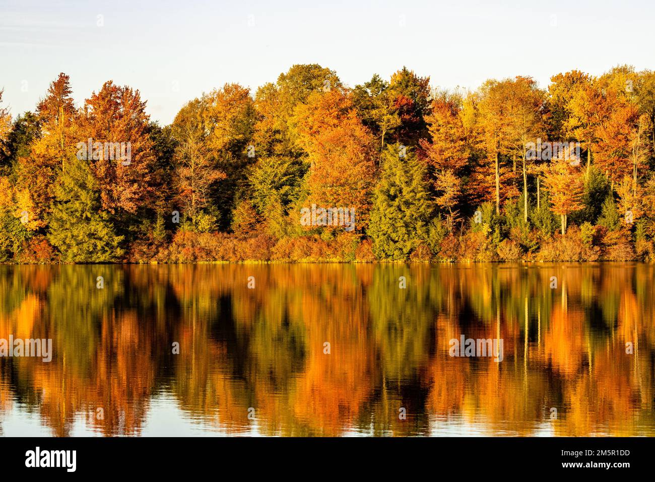 A scenic view of Lake Jean at Ricketts Glen State Park in Pennsylvania ...