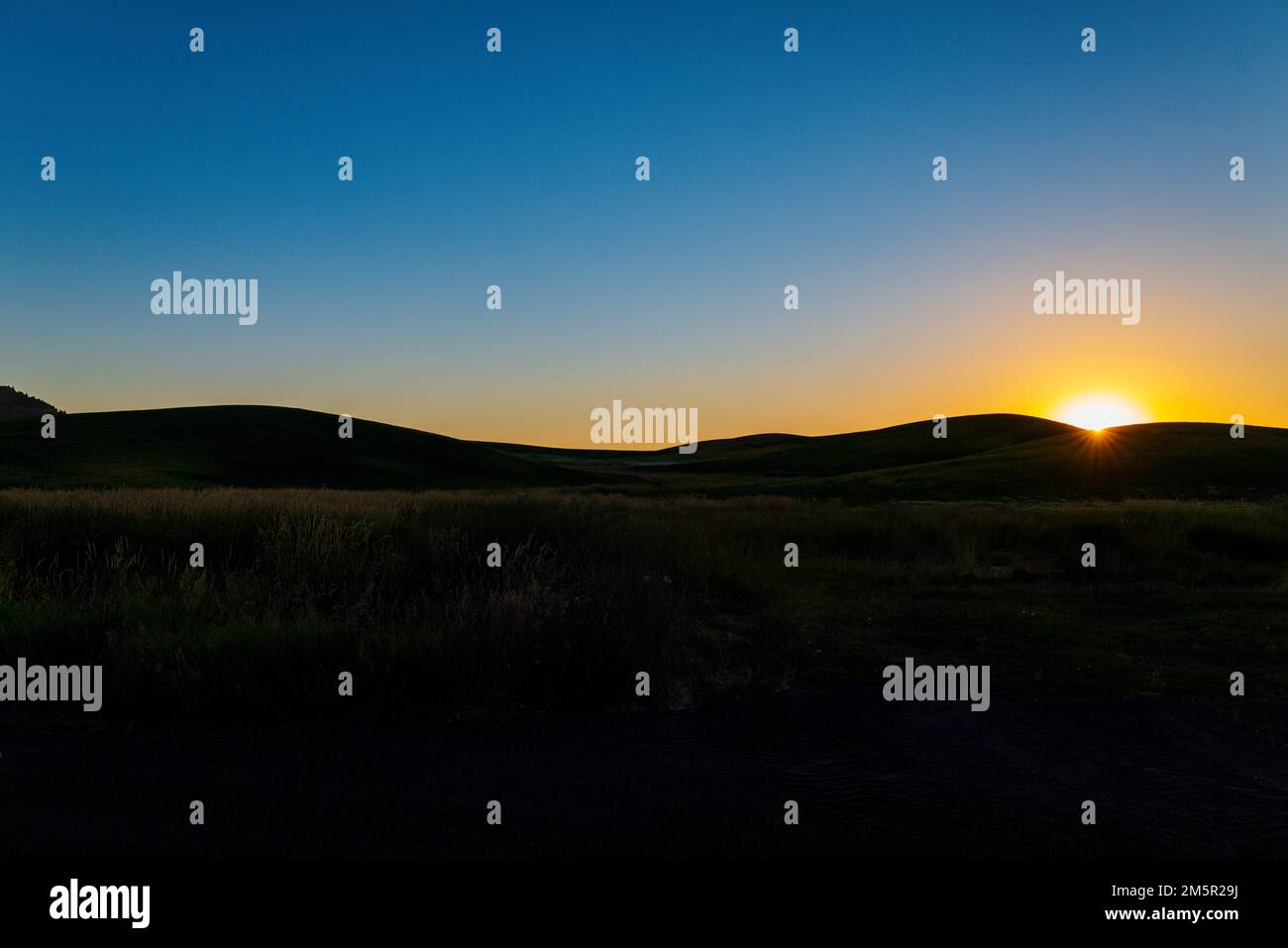 Beautiful sunset over rolling farm fields; Palouse region; Washington ...