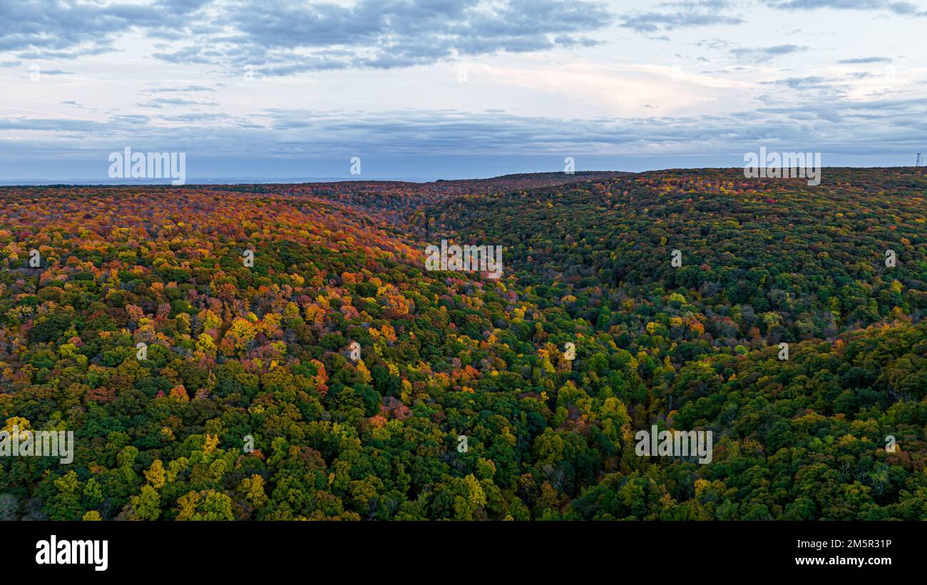 A high-angle view of a beautiful dense colorful forest during fall ...