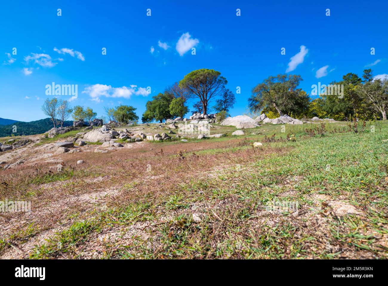 A scenic shot of green lush trees on a desolated hill under the blue ...