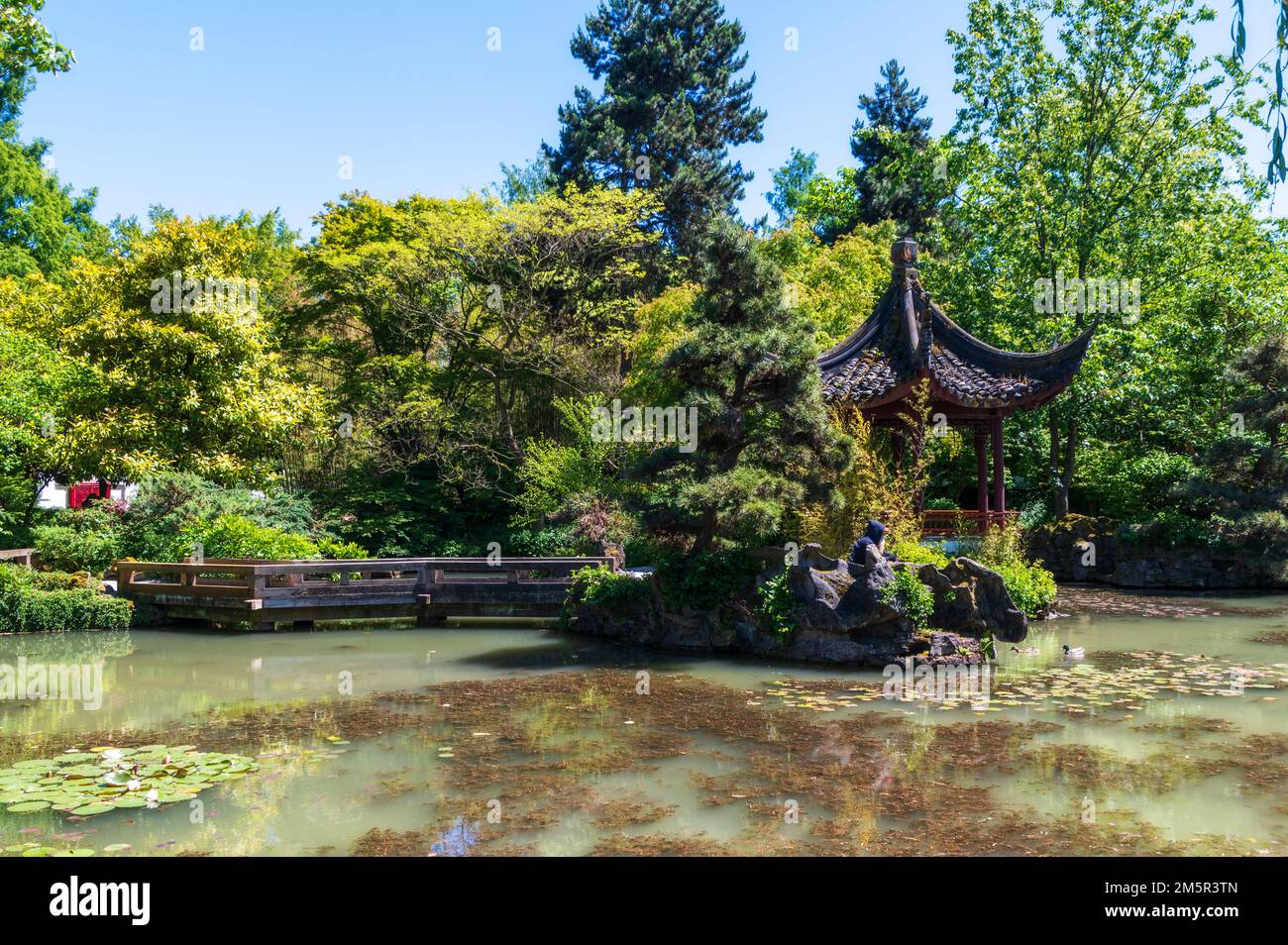 Dr. Sun Yat-Sen Classical Chinese Garden in Vancouver, Canada Stock ...
