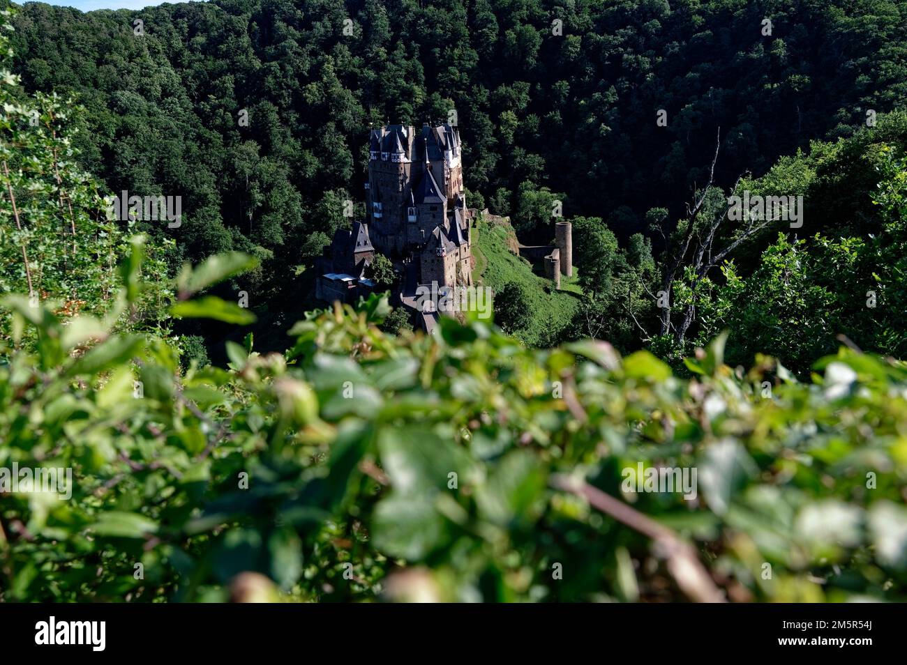 A scenic view of the Eltz Castle (German: Burg Eltz) surrounded by ...