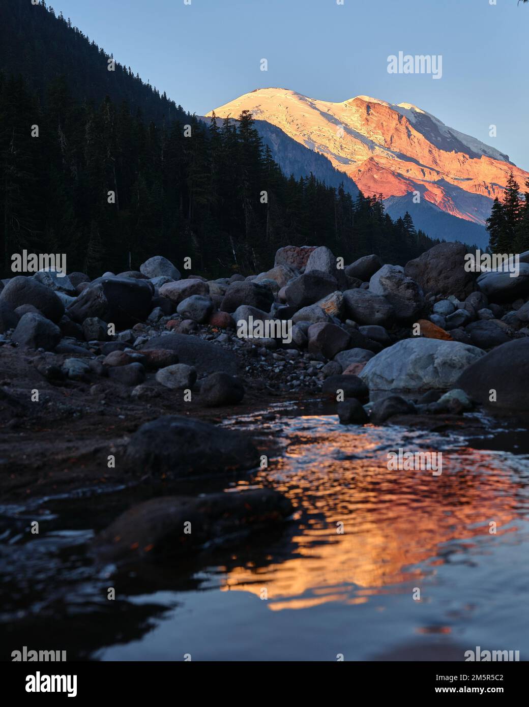 The Mount Rainier with reflection on the river during sunset Stock ...
