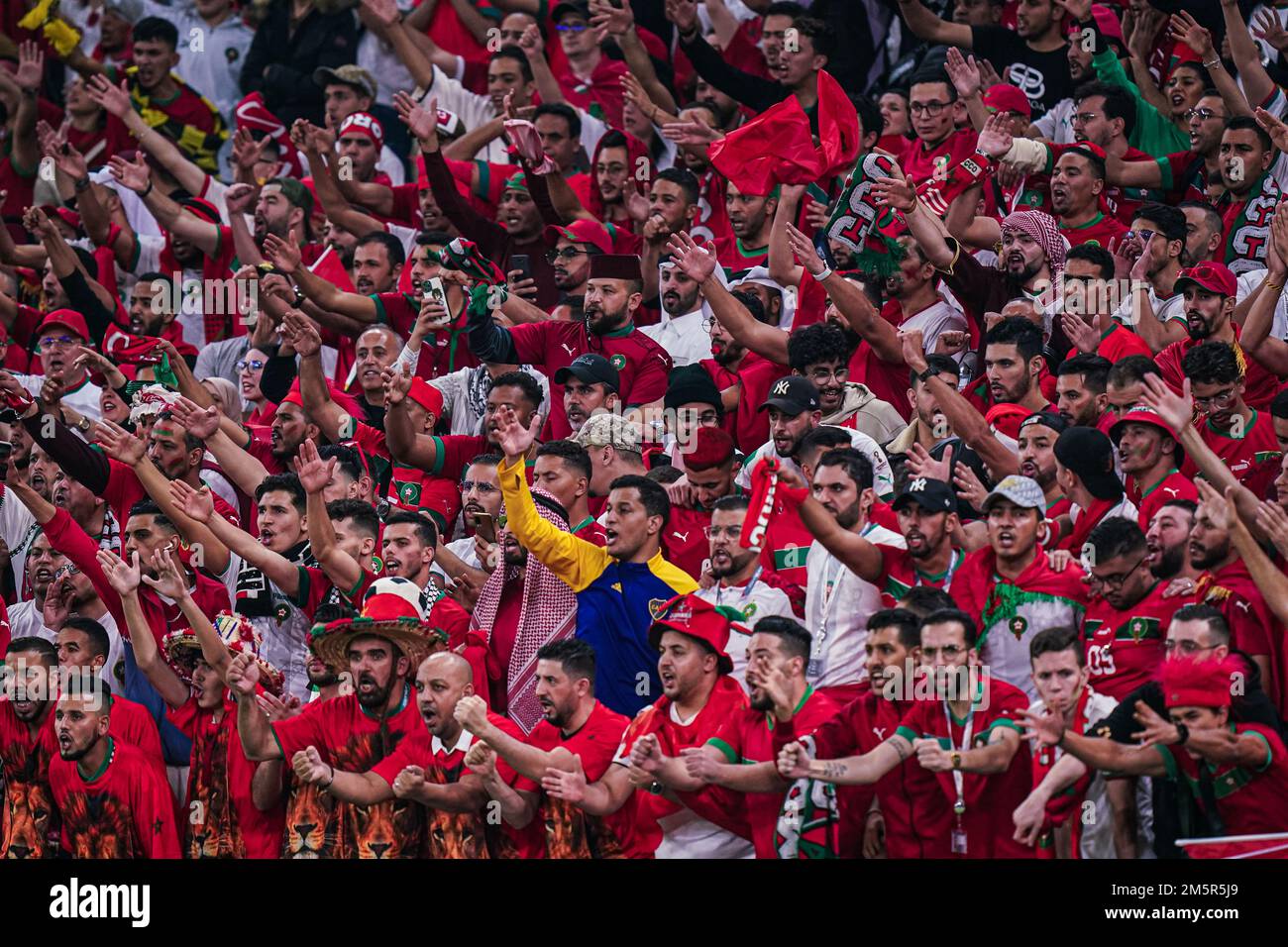 Morocco Fans celebrating their victory against Portugal 1:0 Stock Photo ...