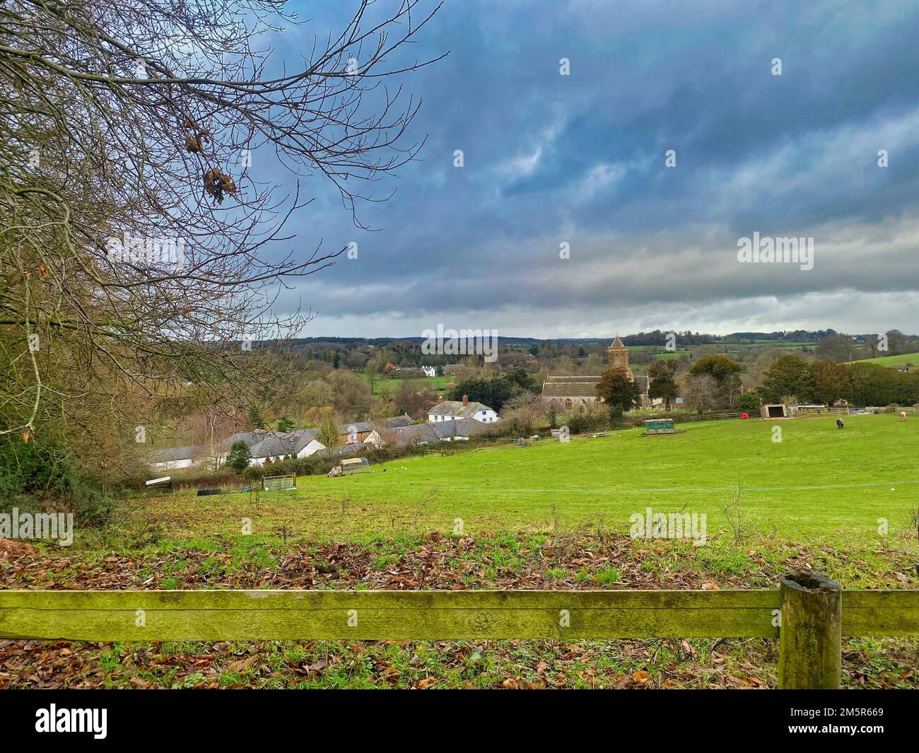 A field at Otterton in Devon Stock Photo - Alamy