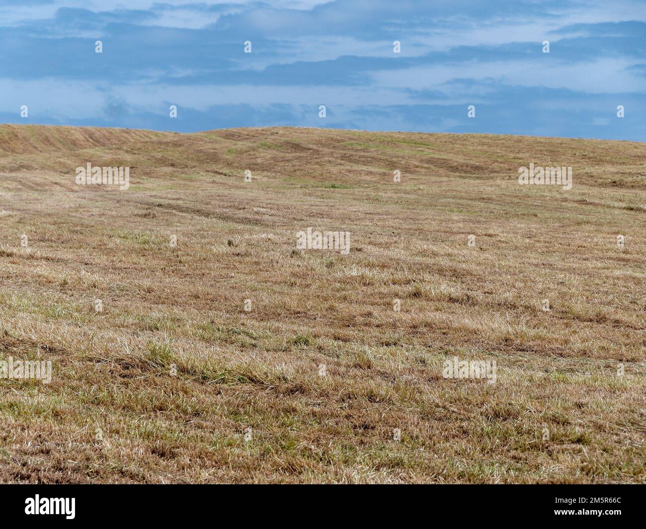 Stubble and grass hi-res stock photography and images - Alamy