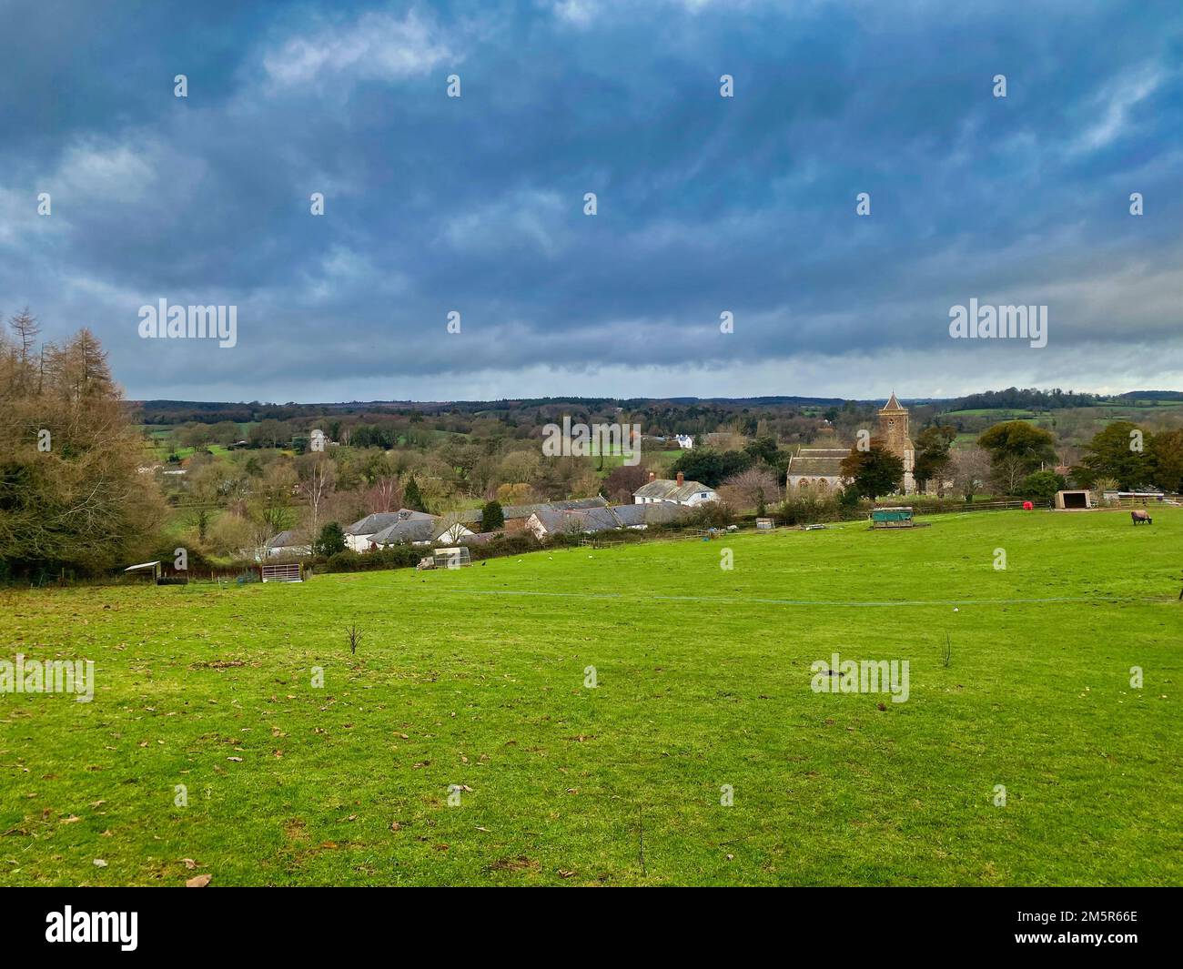 A field at Otterton in Devon Stock Photo - Alamy