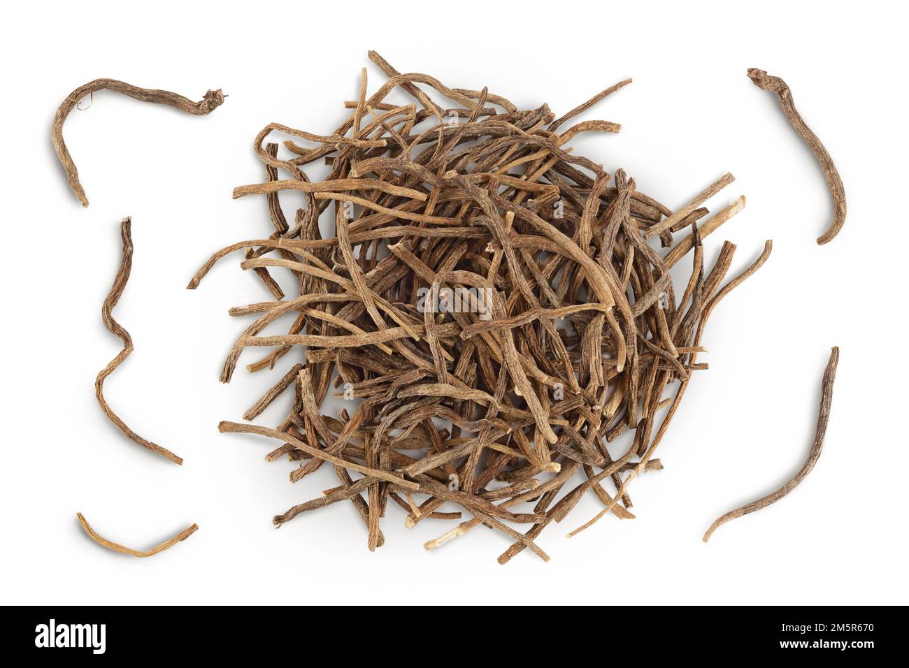 Dried Valerian root isolated on white background. Valeriana officinalis ...