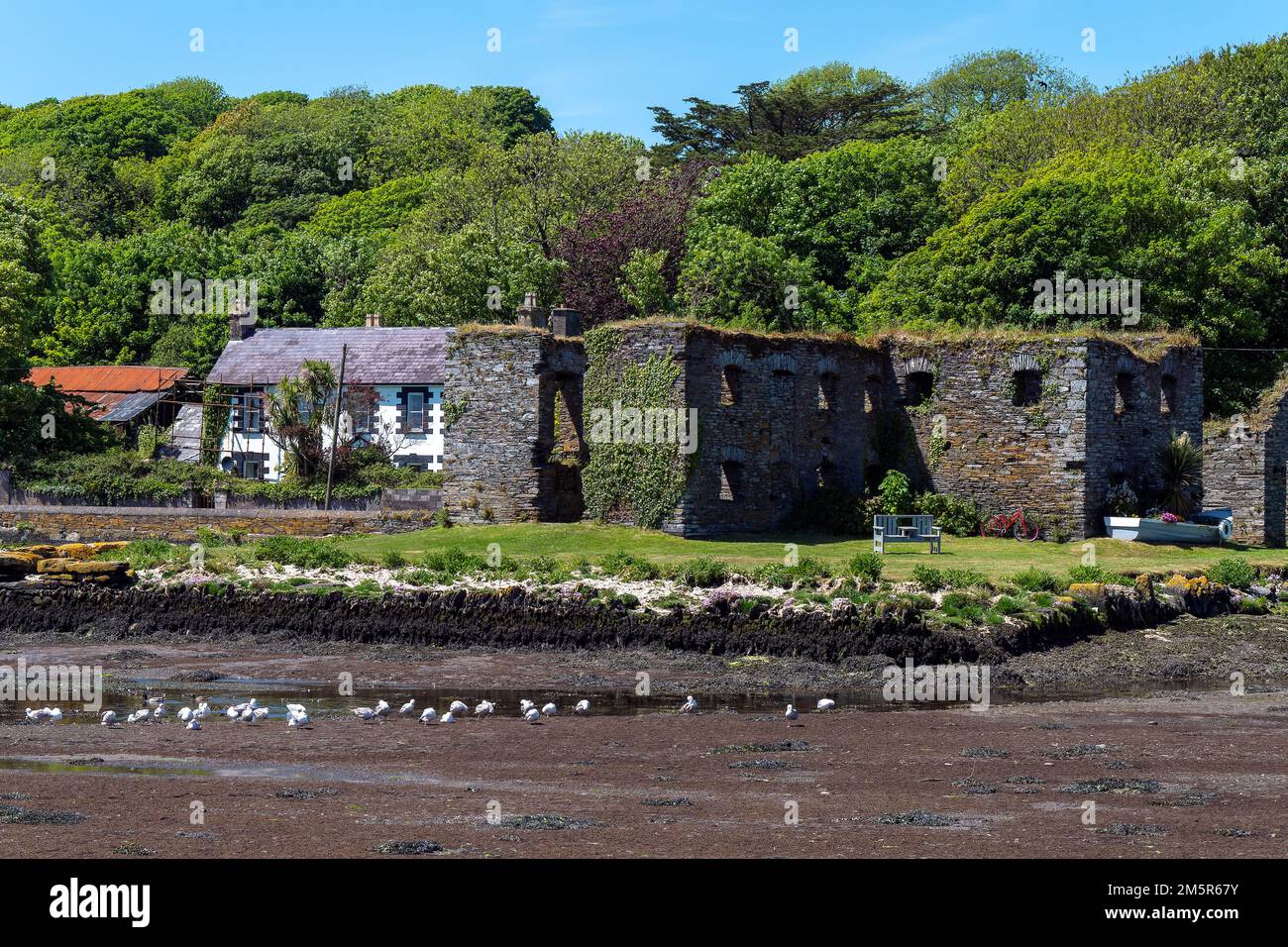Stone ruins on a sunny spring day, the south of Ireland. The ruins of ...
