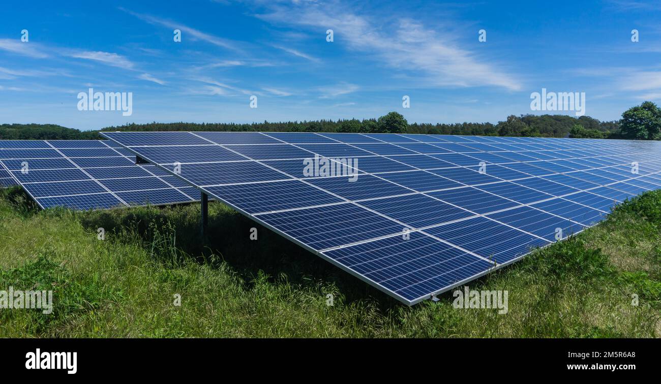 solar park with lots of solar cells in a row Stock Photo - Alamy