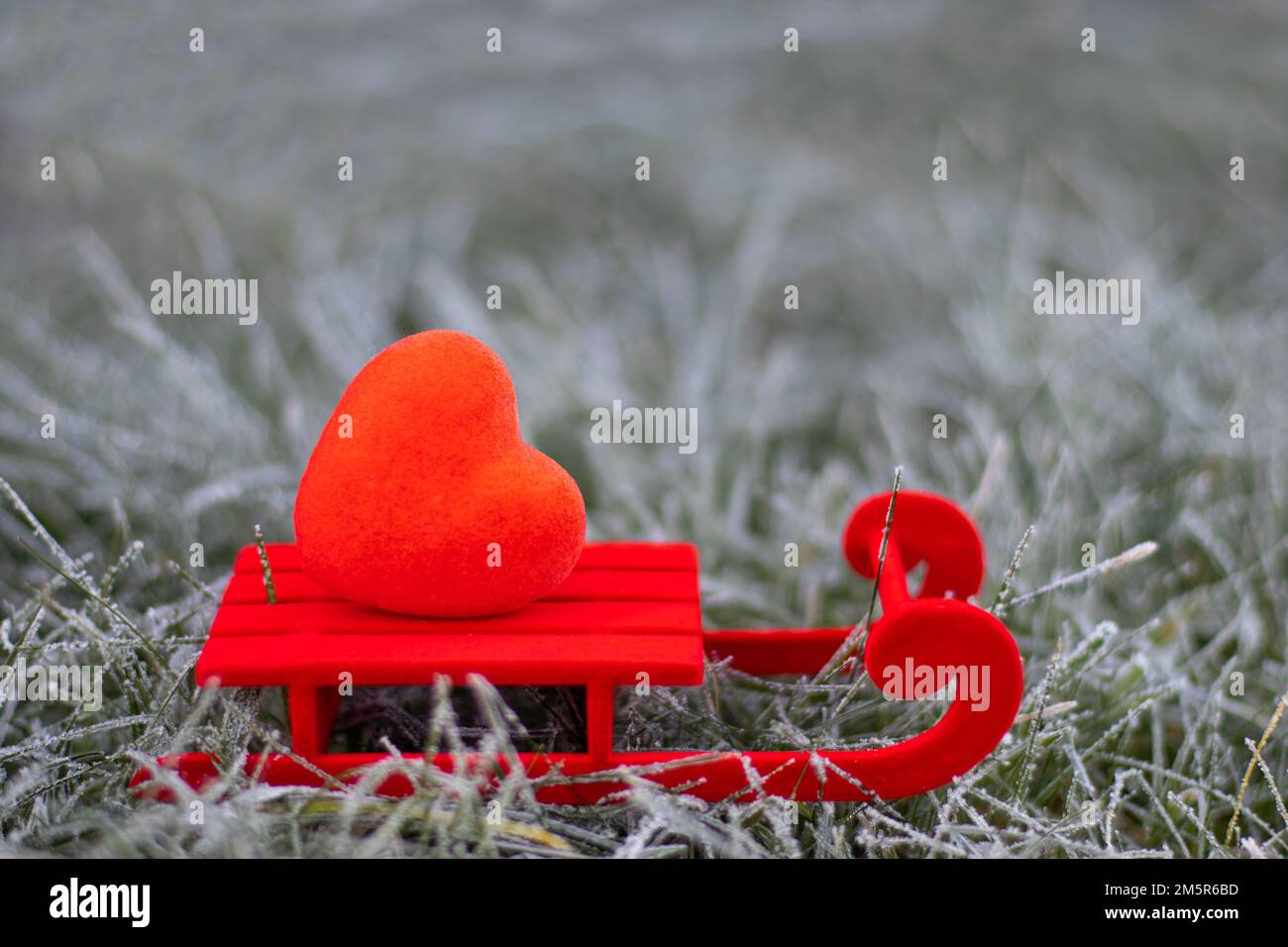 St. Valentine's Day. Red sled and a heart on the grass with hoarfrost ...