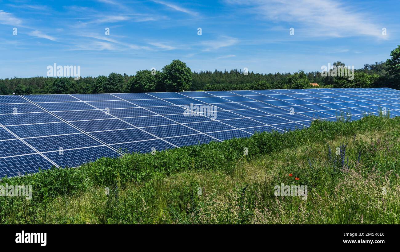 solar park with lots of solar cells in a row Stock Photo - Alamy