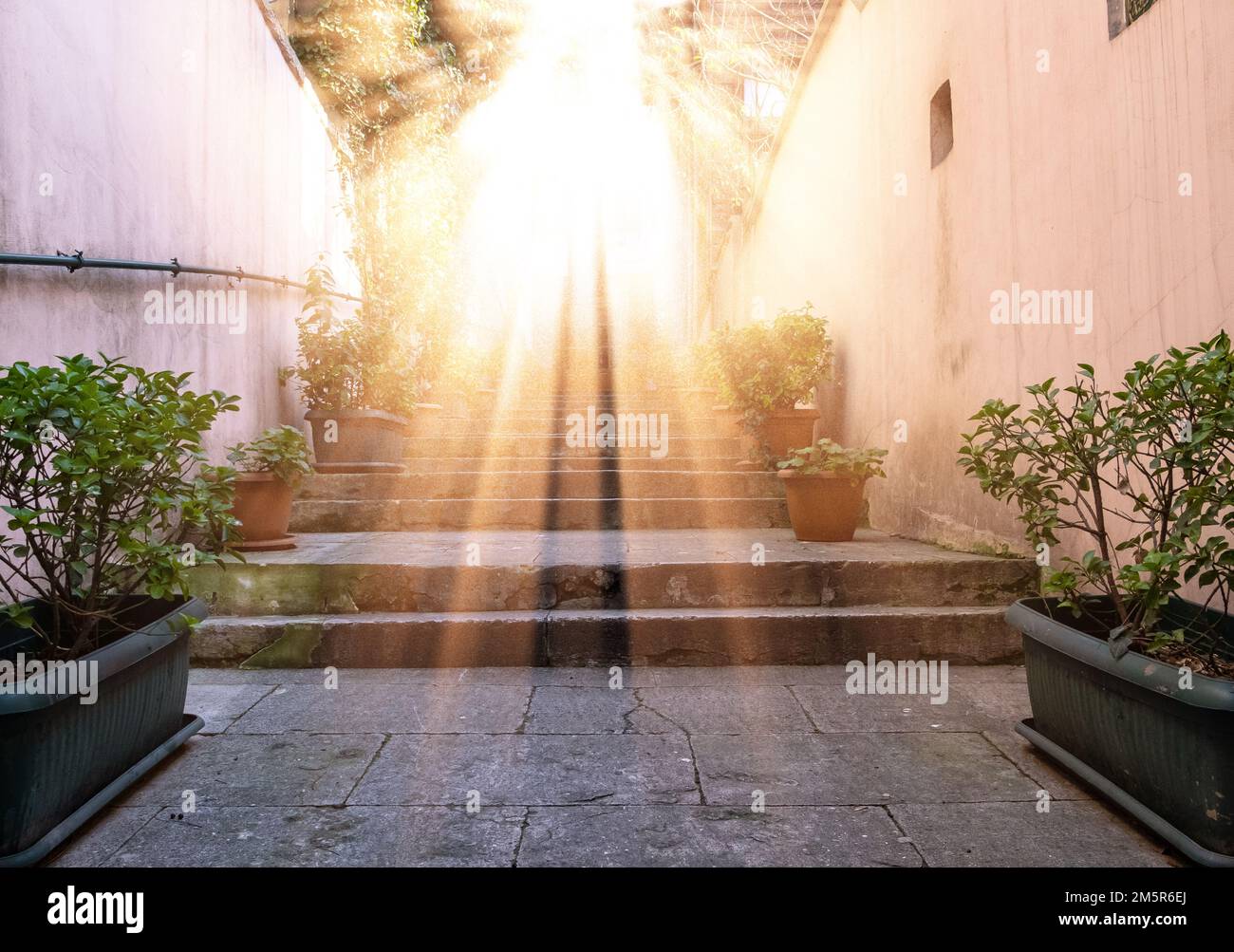 The way to heaven. illuminated road to death. Garden of heaven. Dreamy ...