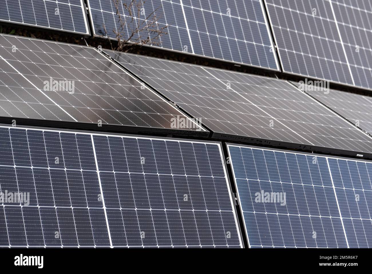solar panels for alternative energy Stock Photo - Alamy