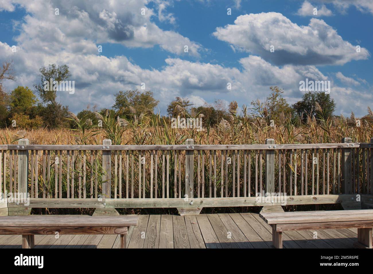 A wood platform with railing and benches overlooking a field of ...
