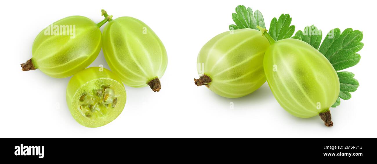 Green gooseberry with half isolated on white background . Top view ...