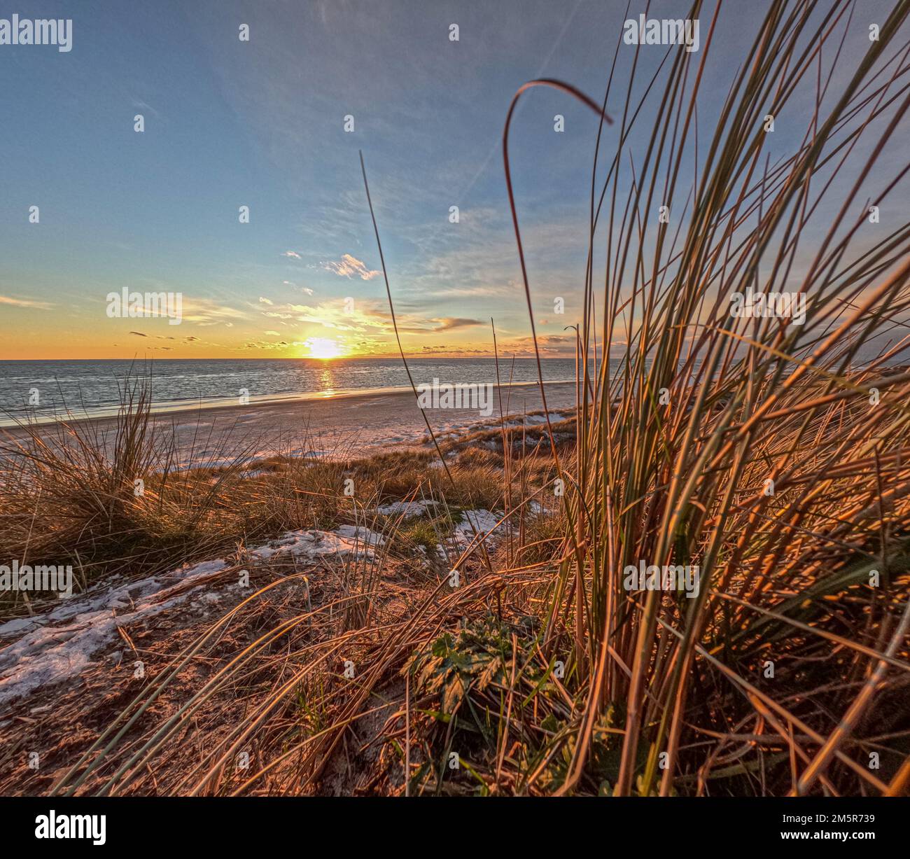 Overgrown beach view calm hi-res stock photography and images - Alamy