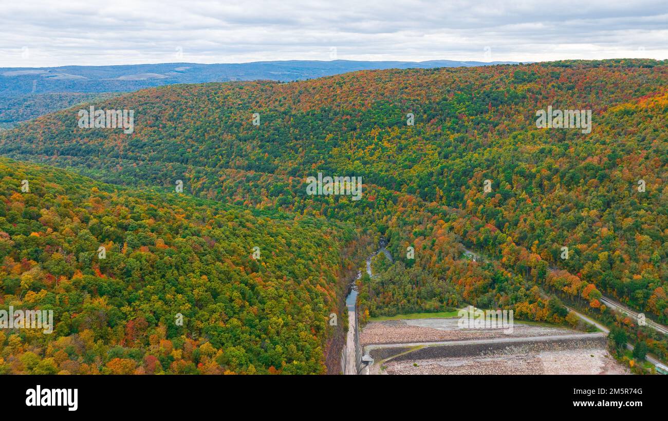 An aerial of highlands covered by a dense forest with autumn foliage in ...