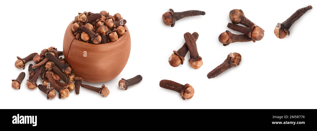 Dry spice cloves isolated on white background. Top view with copy space ...
