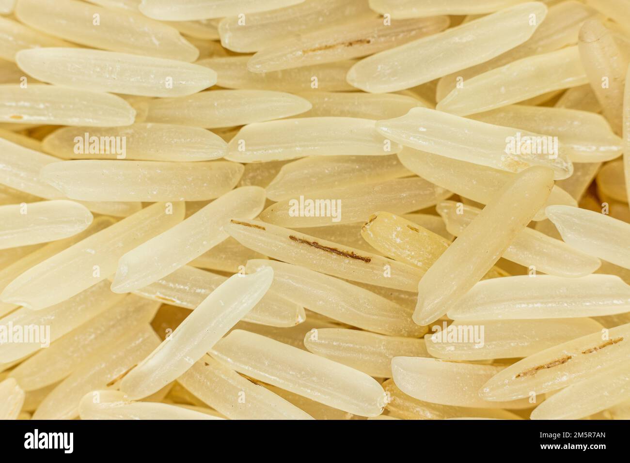 Grain of rice macro hi-res stock photography and images - Alamy