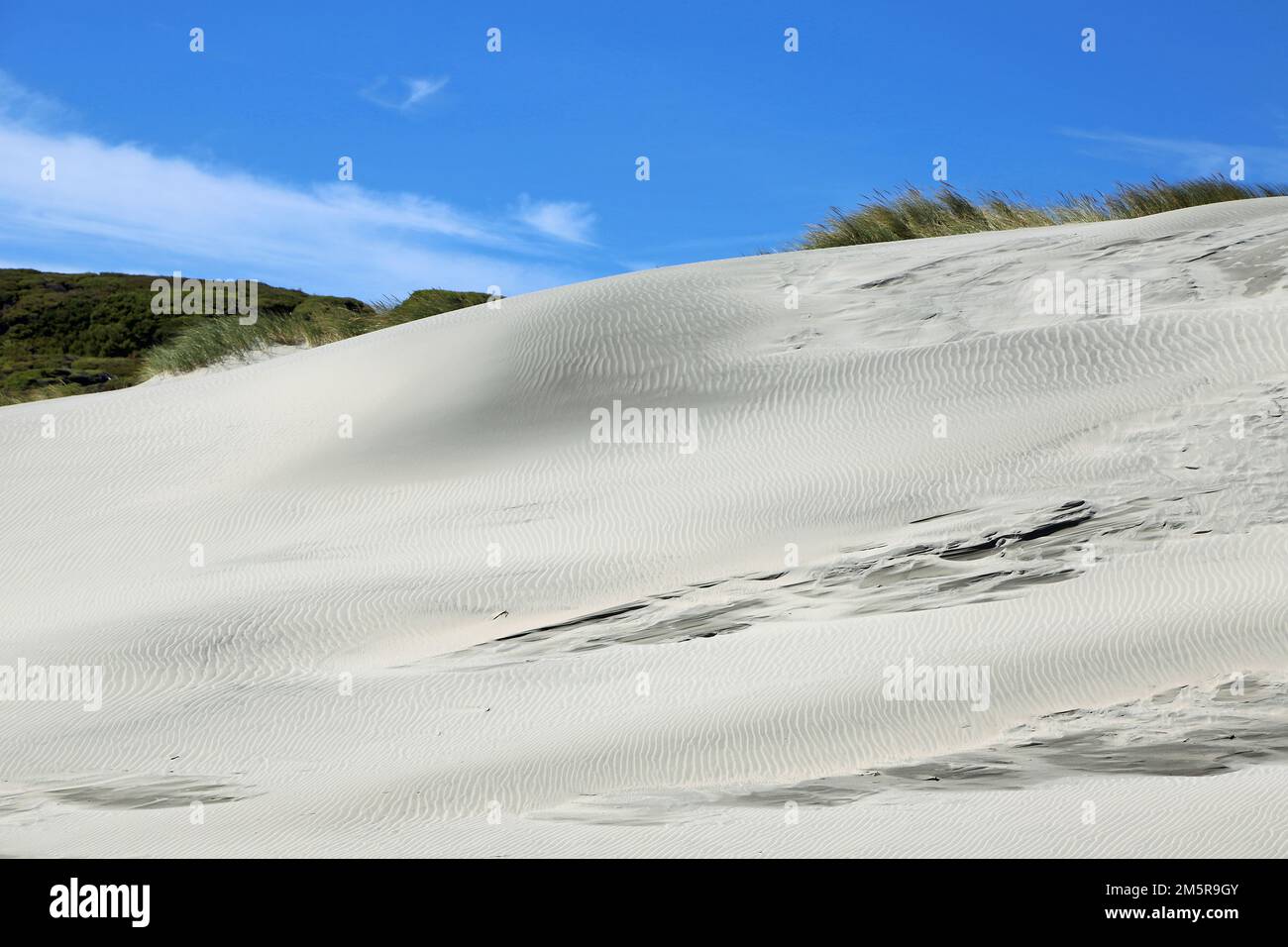 Sand dune on Wharariki Beach, New Zealand Stock Photo - Alamy