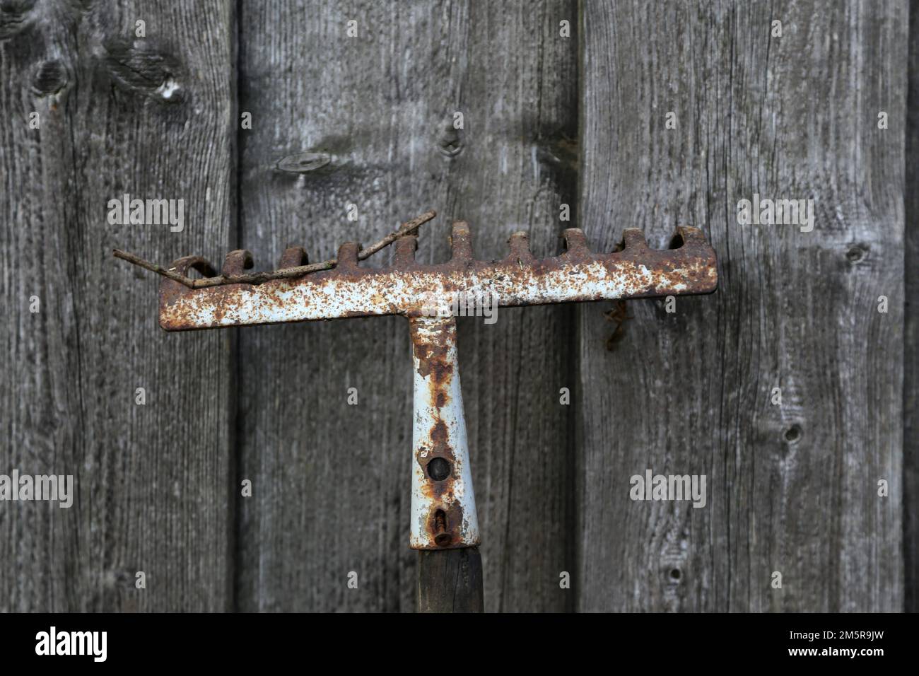 old iron rake hangs on a wooden wall Stock Photo - Alamy