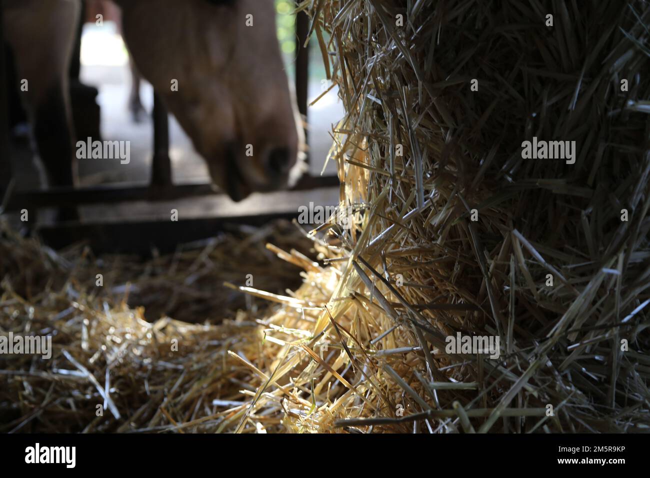 Straw farming background hi-res stock photography and images - Alamy