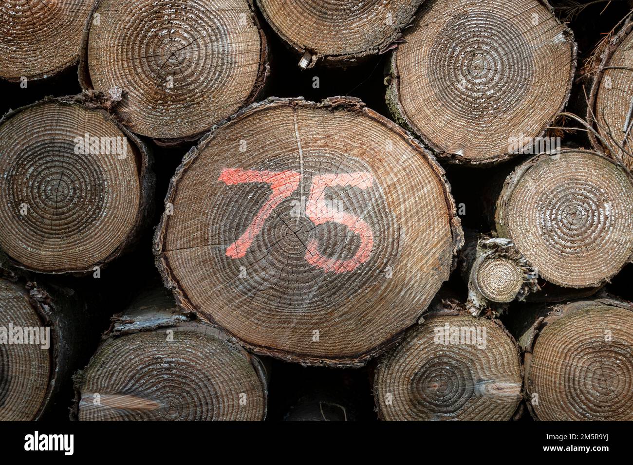 Section 75 hi-res stock photography and images - Alamy