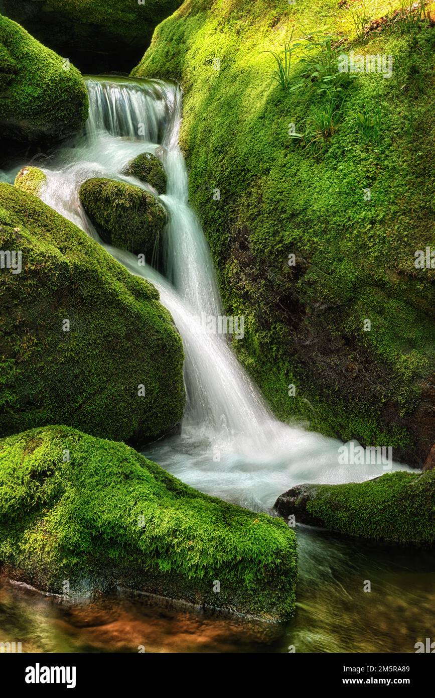 A collection of moss-covered boulders come together to form a lovely ...